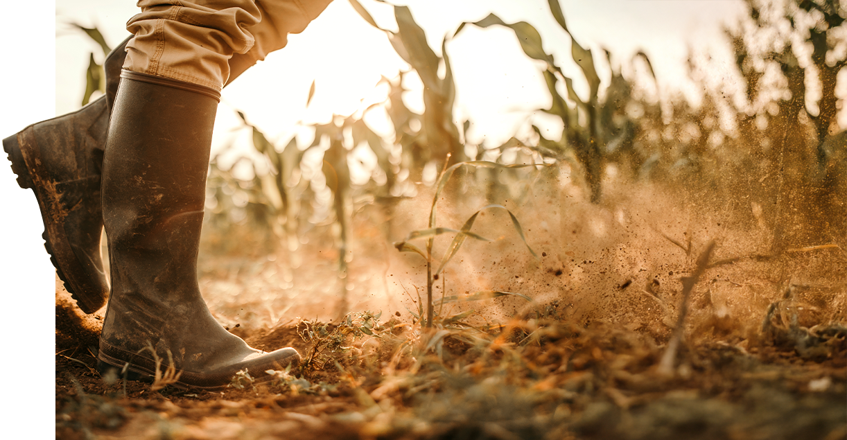 Community Banking, Loans & Digital Services in Iowa & Nebraska ...